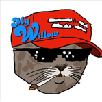 My Willow Memes (@MyWillowMemes)
