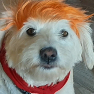 Sunzilla_UltraMAGA (@Sunzilla)