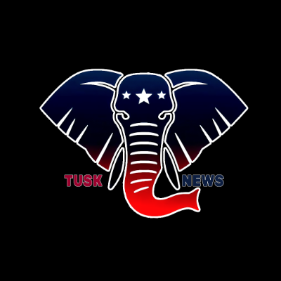 Tusk News (@tusk_news)