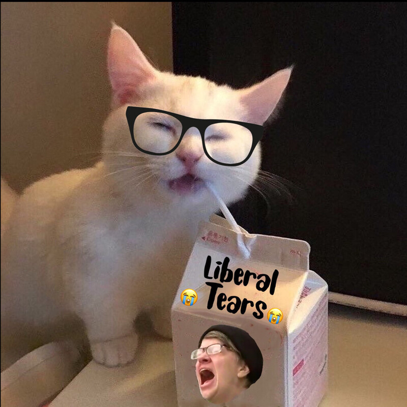 Catturd (@catturd2)