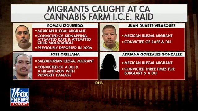 X22 Report (@X22Report)