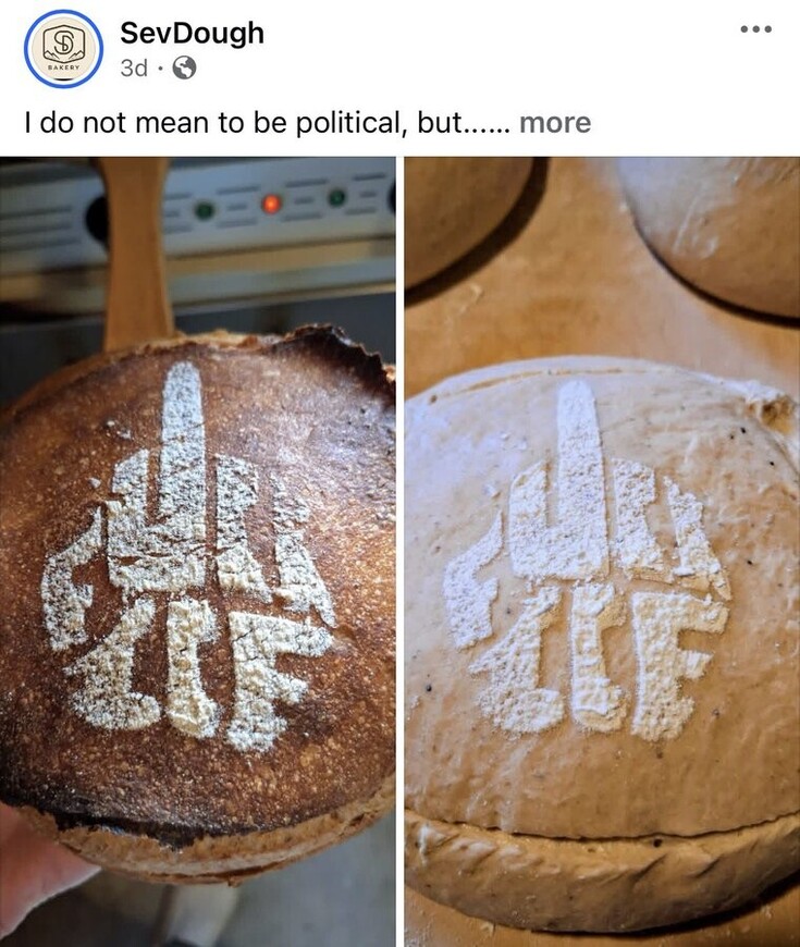 Libs of TikTok (@libsoftiktok)